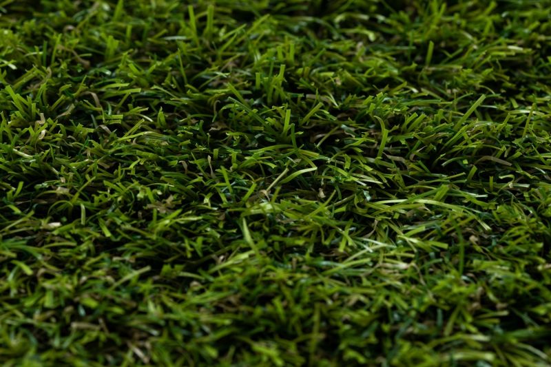 Artificial grass ORYZON Cypress Point - Finished sizes - Artificial grass